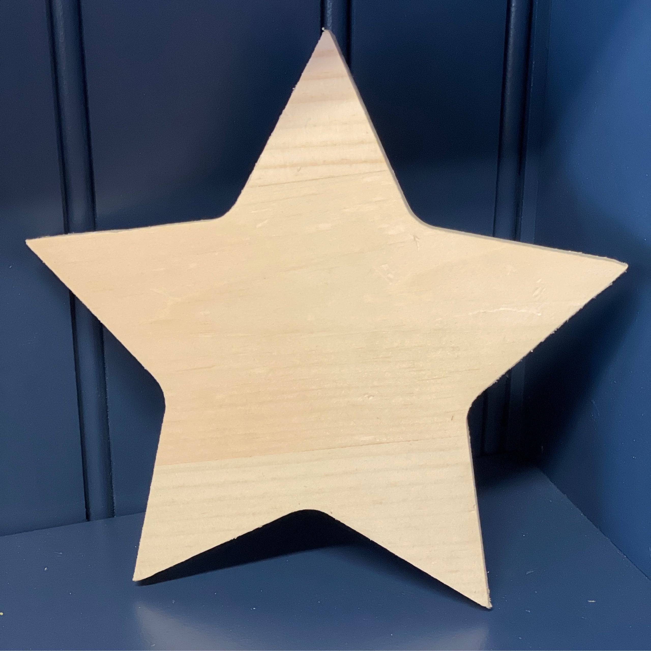 Star | TheWandering Goose