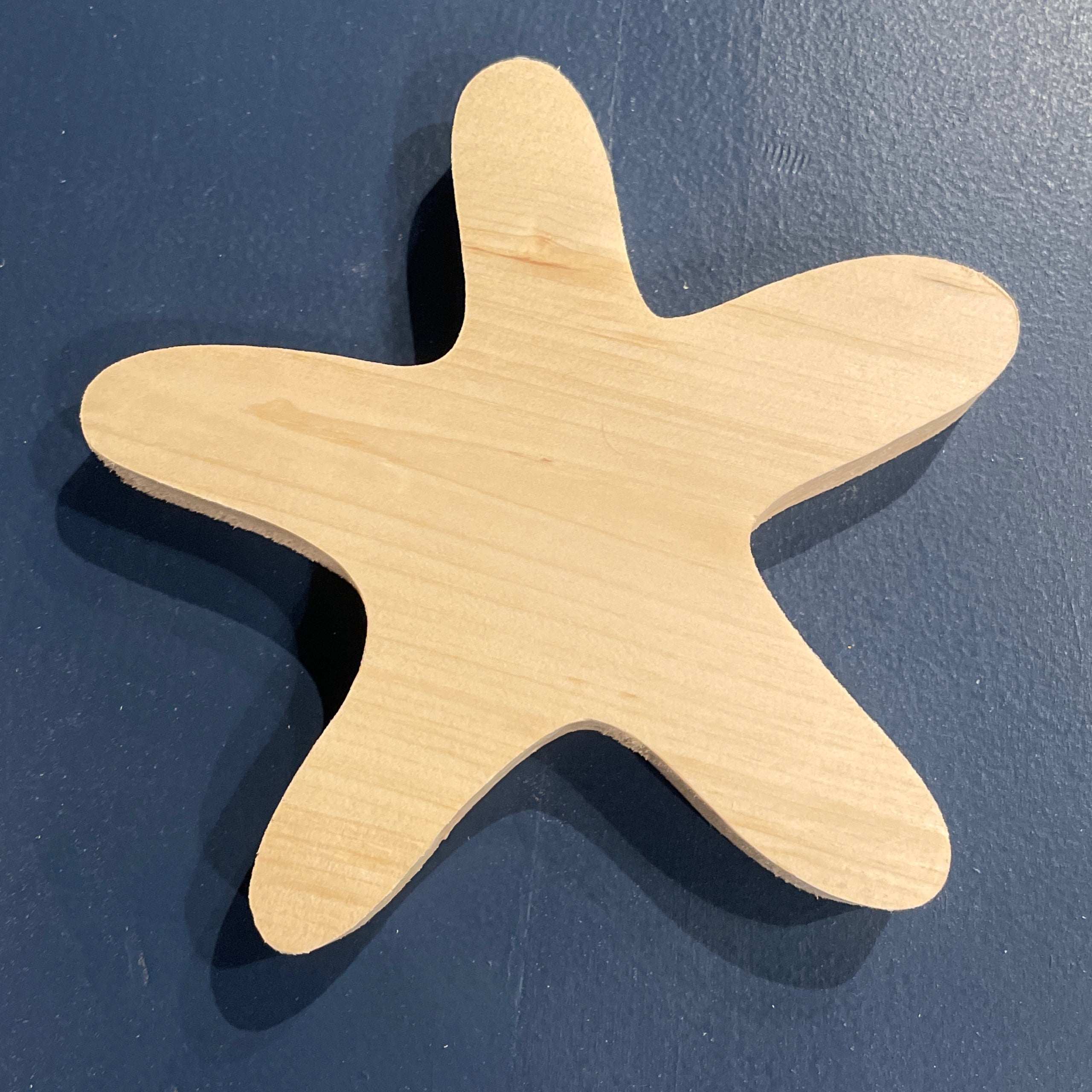 Starfish | Wandering Goose